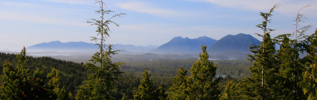 Radar Hill and Kap'Yong Memorial | Tofino Trails