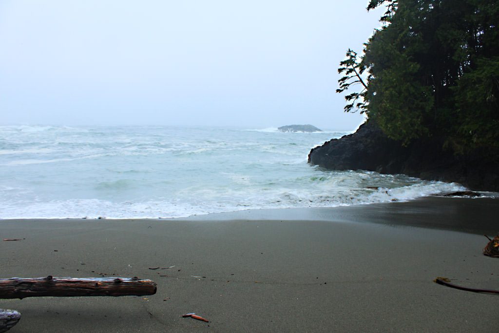 Halfmoon Bay Trail in Pacific Rim National Park | Tofino Trails
