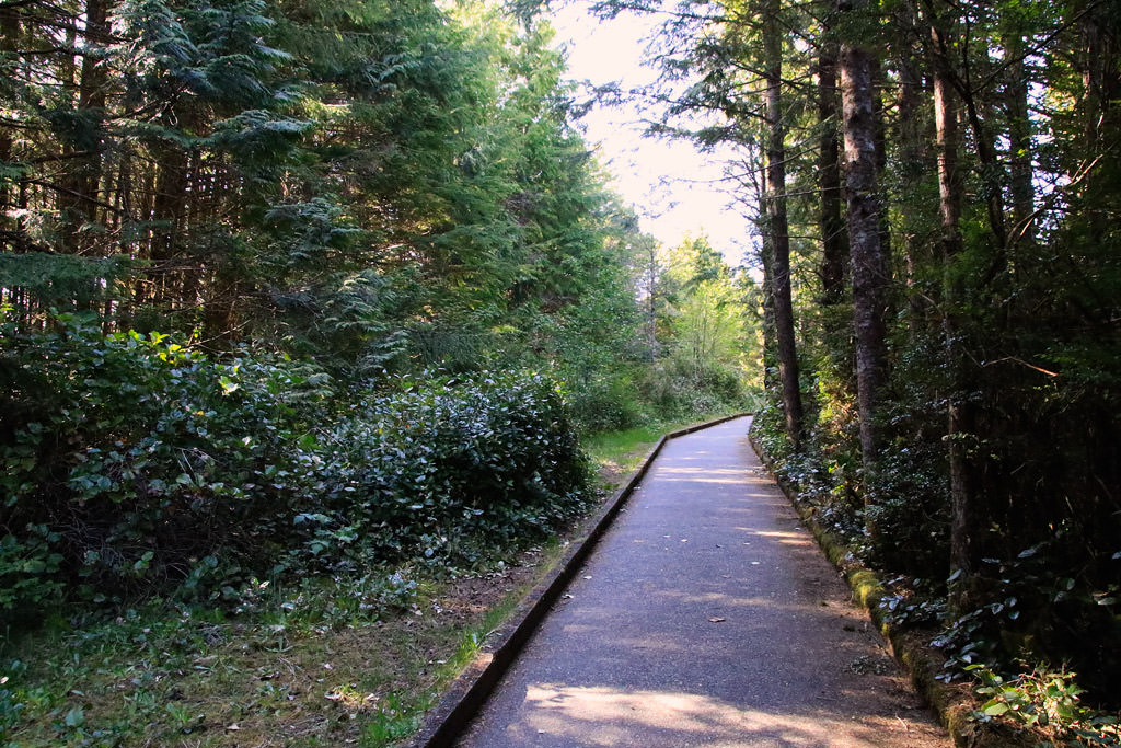 Radar Hill and Kap'Yong Memorial | Tofino Trails
