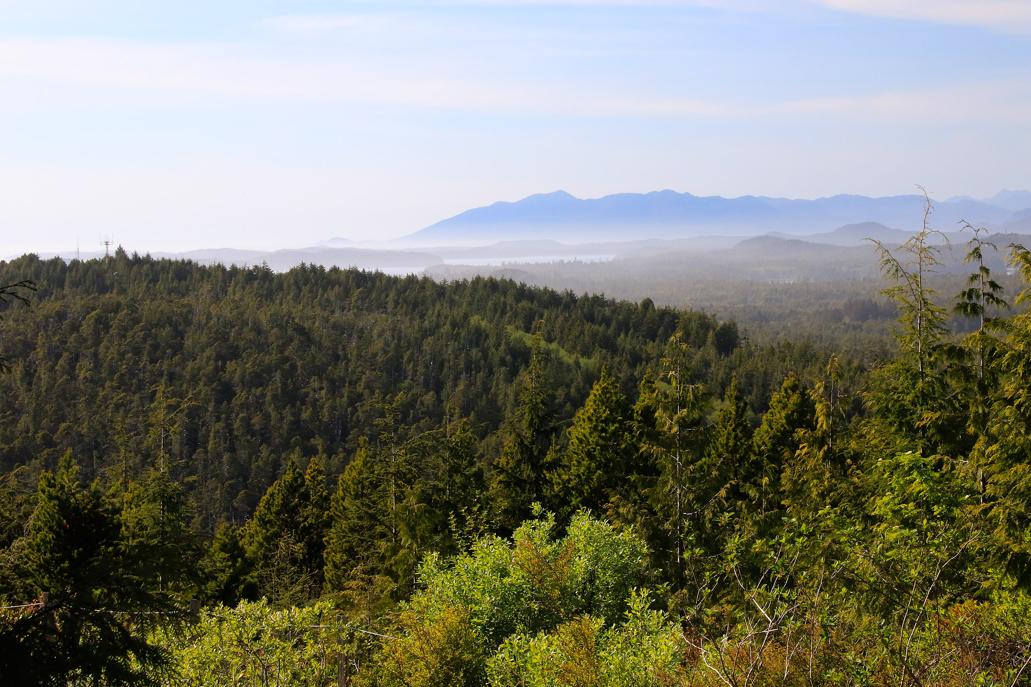 Radar Hill and Kap'Yong Memorial | Tofino Trails