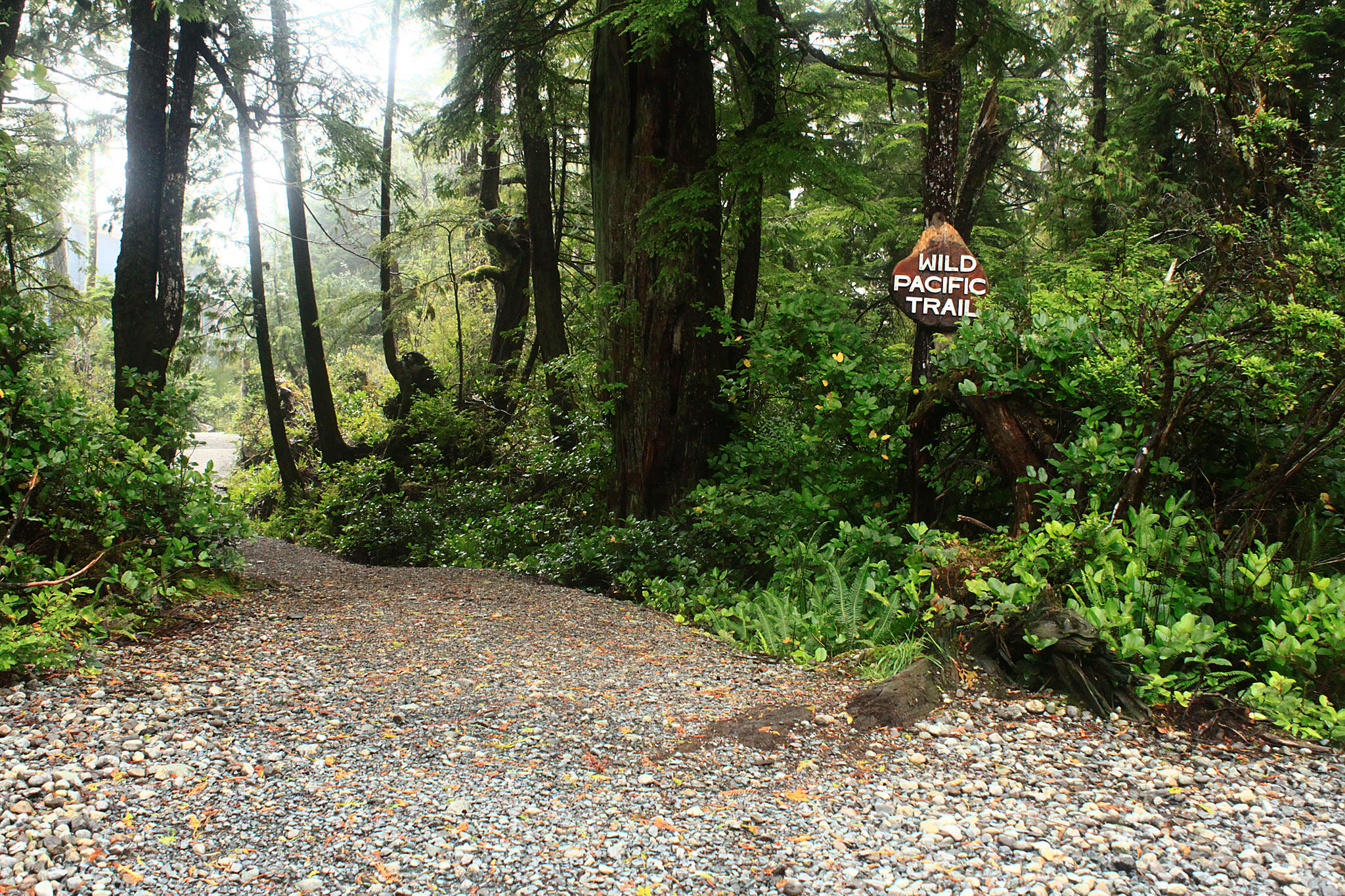 Wild Pacific Trail in Pacific Rim National Park | Tofino Trails