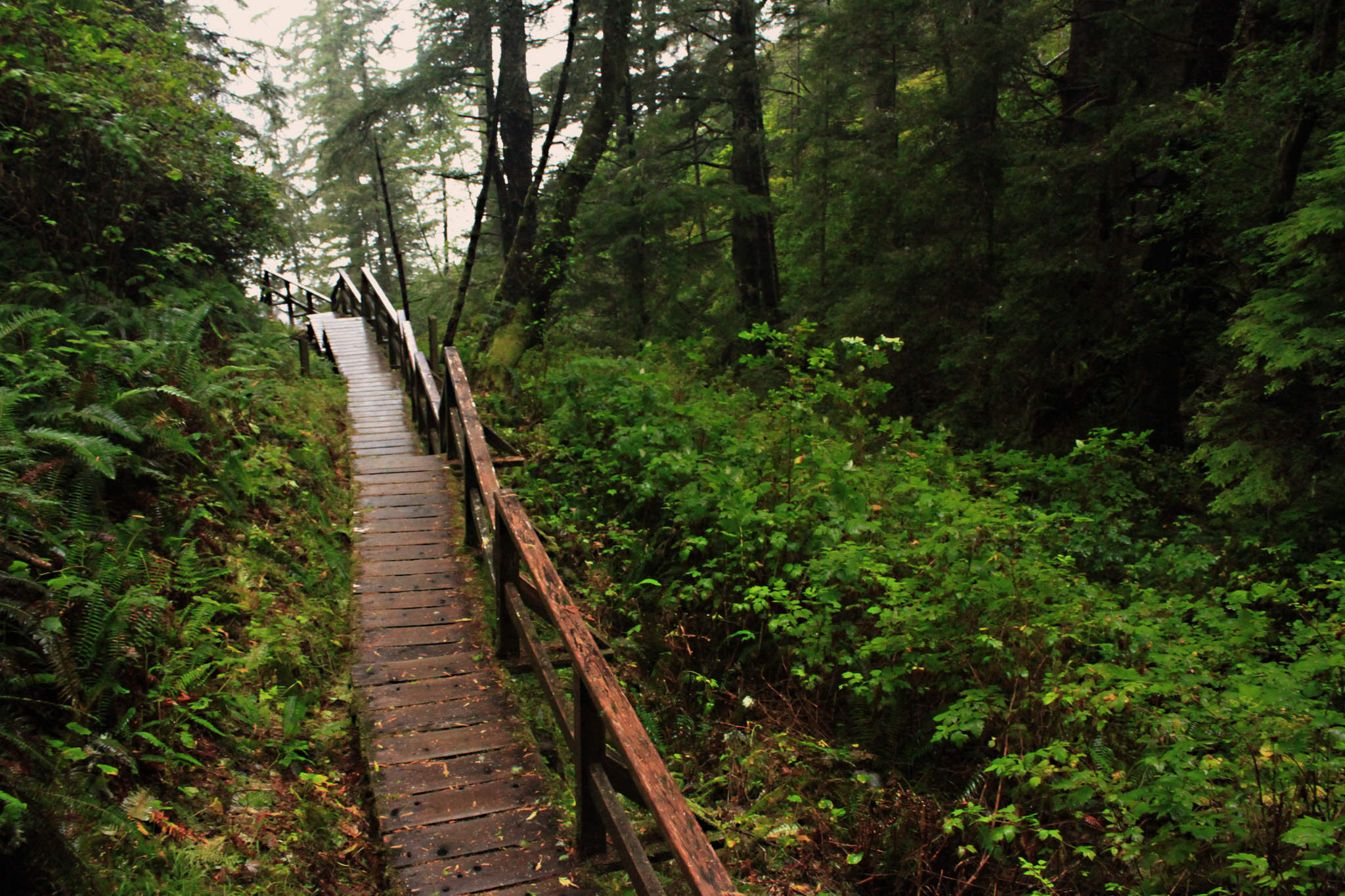 Willowbrae Trail in Pacific Rim National Park | Tofino Trails