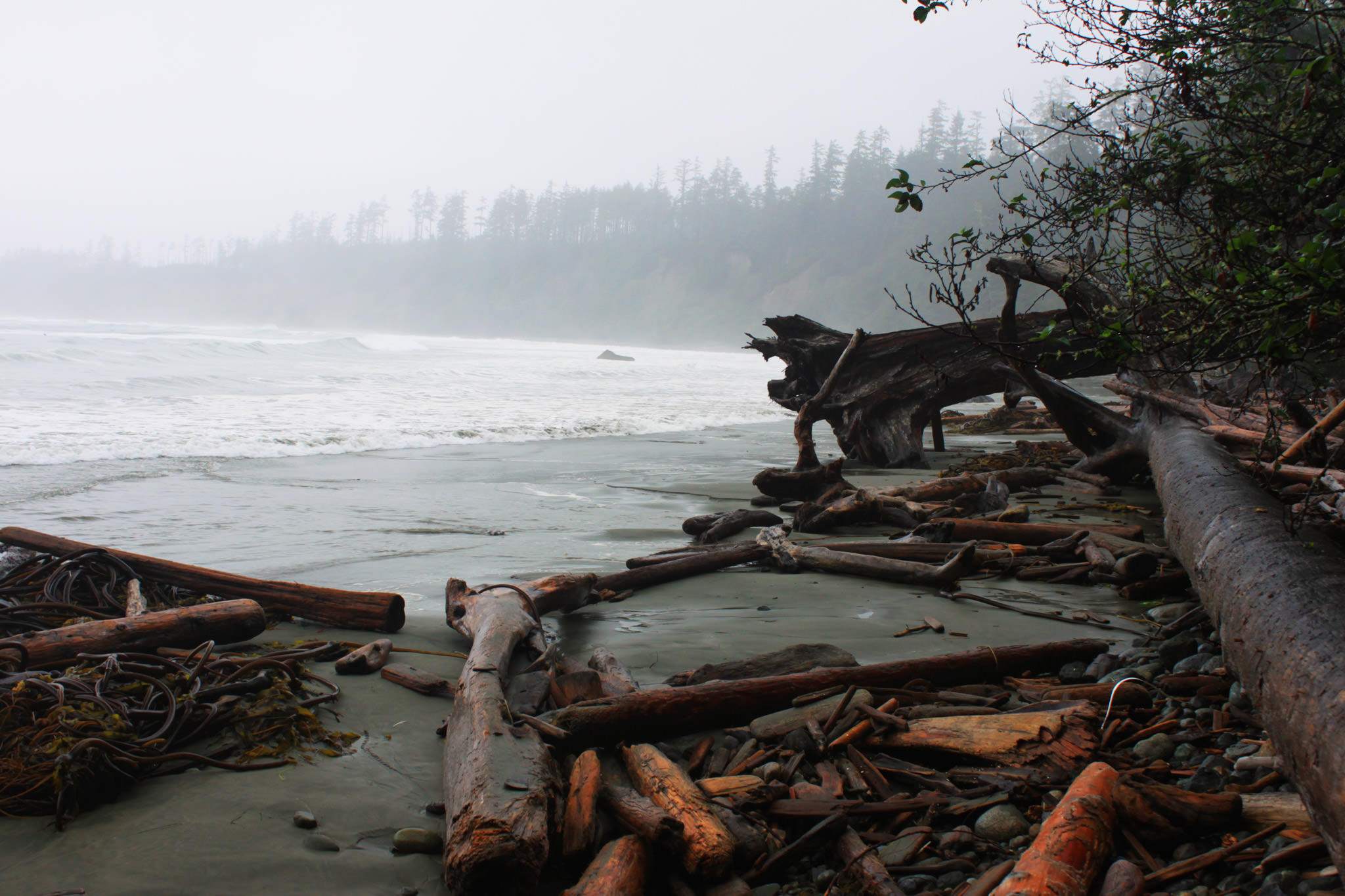 Willowbrae Trail in Pacific Rim National Park | Tofino Trails
