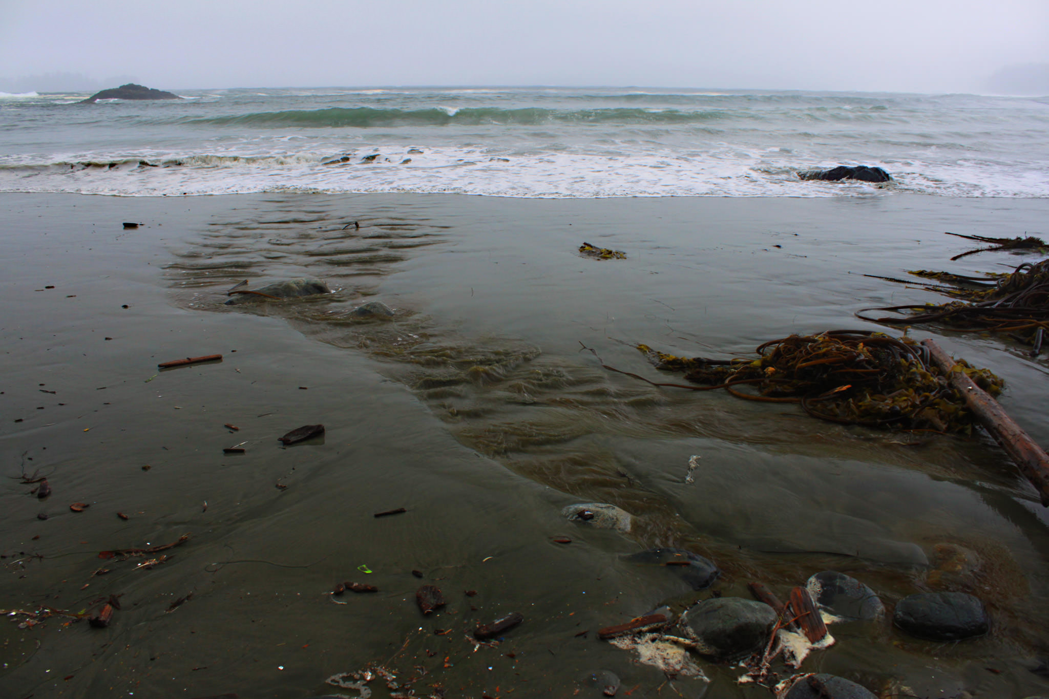 Willowbrae Trail in Pacific Rim National Park | Tofino Trails